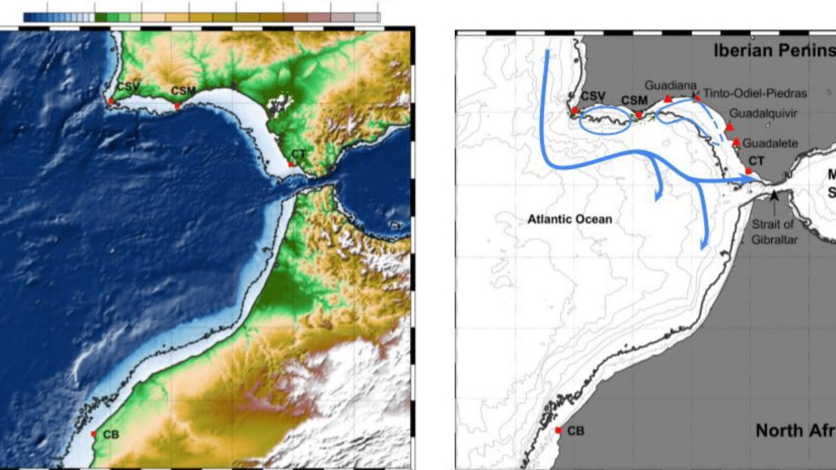 Alles oor die Royal Arch | Genshin Impact【Klik hier】